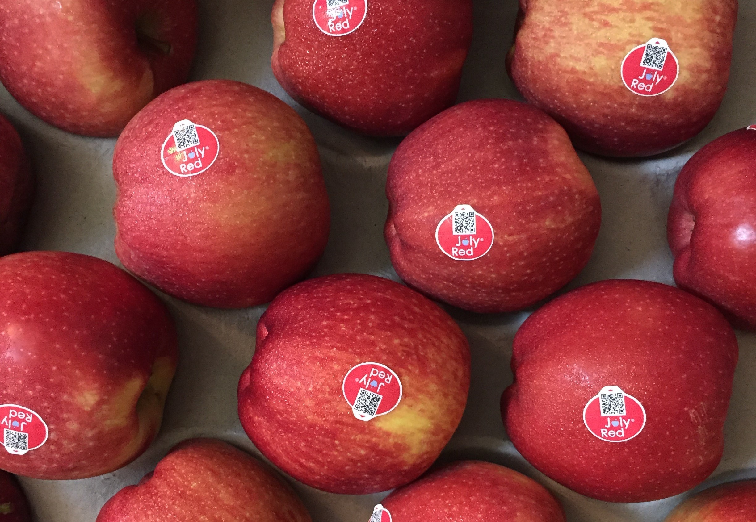 Phần của quả táo thường bị vứt bỏ nhưng lại có nhiều tác dụng tốt cho ...